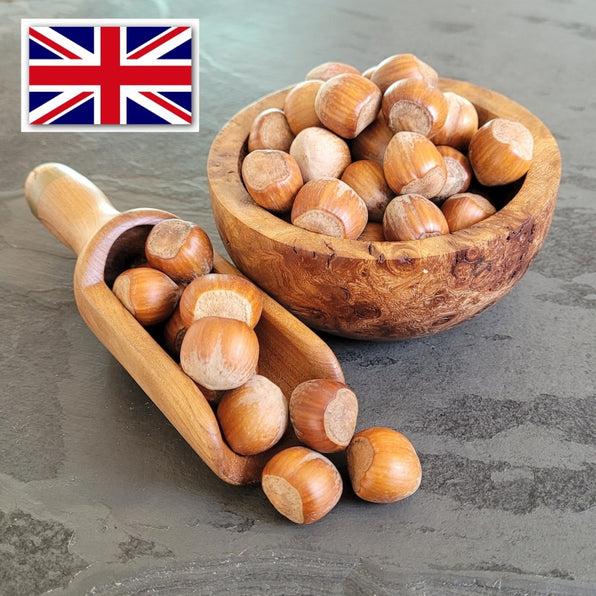Nuts In Shell – HBS Natural Choice